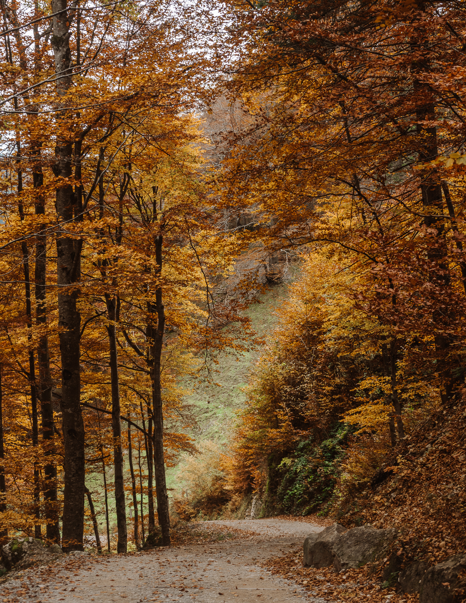 3 Day Guide to Hiking in Alpstein - Your Travel Flamingo